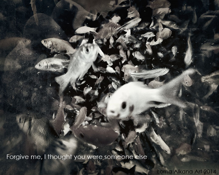 A thousand fish walk into a bar – LornaPhone